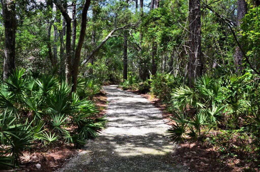 Jeff Friend Trail - Gone Coastal in Gulf Shores LLC